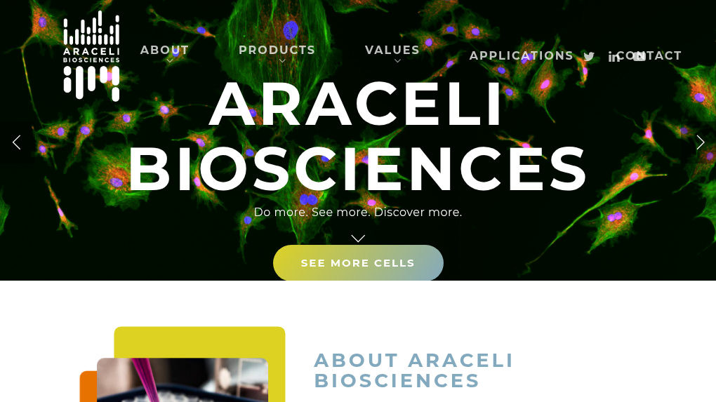 Araceli Biosciences raises $11.2M Seed to accelerate drug discovery with innovative high-content ...